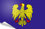 Bandera Friul Eagle